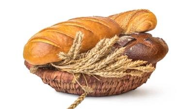 Sendung verpasst? Science Talk: So gesund ist unser Brot vom 16.10.2022 ...